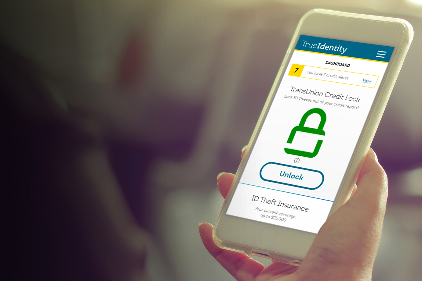 TrueIdentity Landing Page | WeSalute